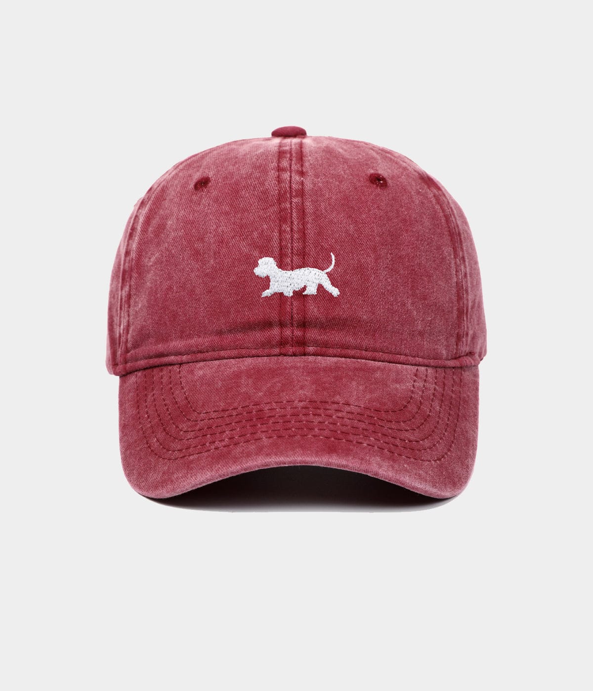 WASHED DOG. | High quality produced by CAPS.