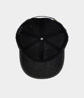 WASHED PALM TREE. | High Quality produced by CAPS